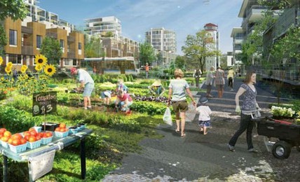 Mueller Austin Heb/market District Site Plan - Mueller Silent Market ...